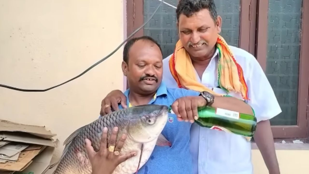 Watch | Man forces fish to drink beer, Internet expresses outrage over ...