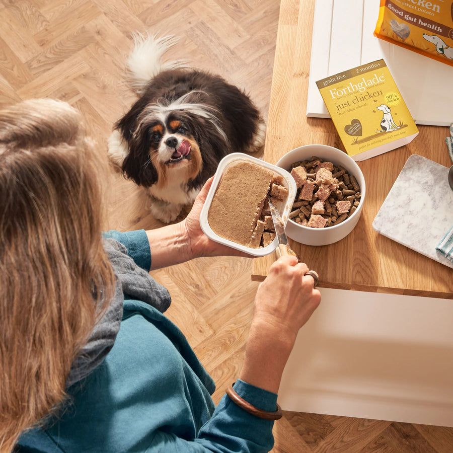 Best dog food brands in the UK: Top 12 picks