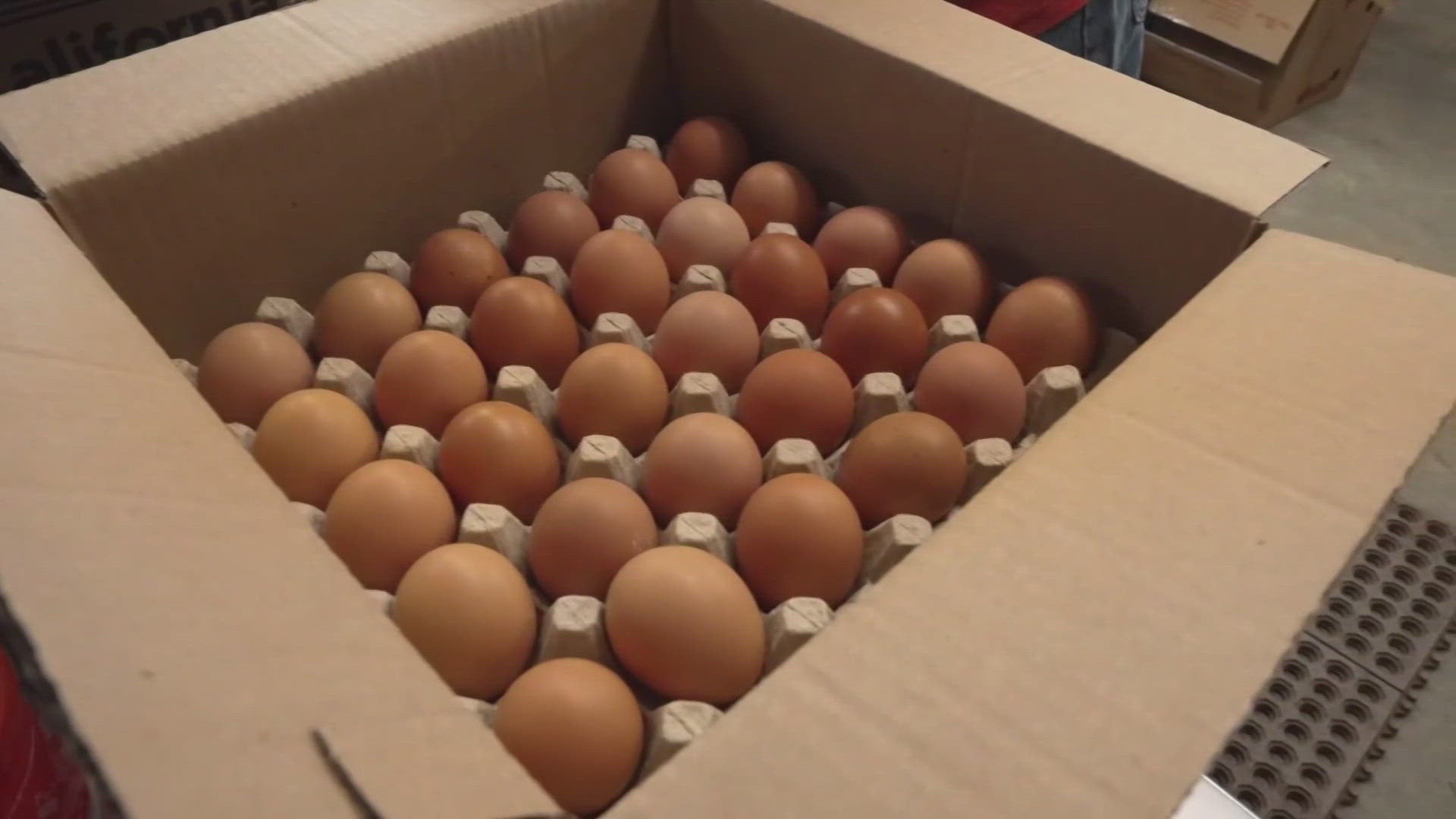Current egg shortage has businesses looking thousands of miles away