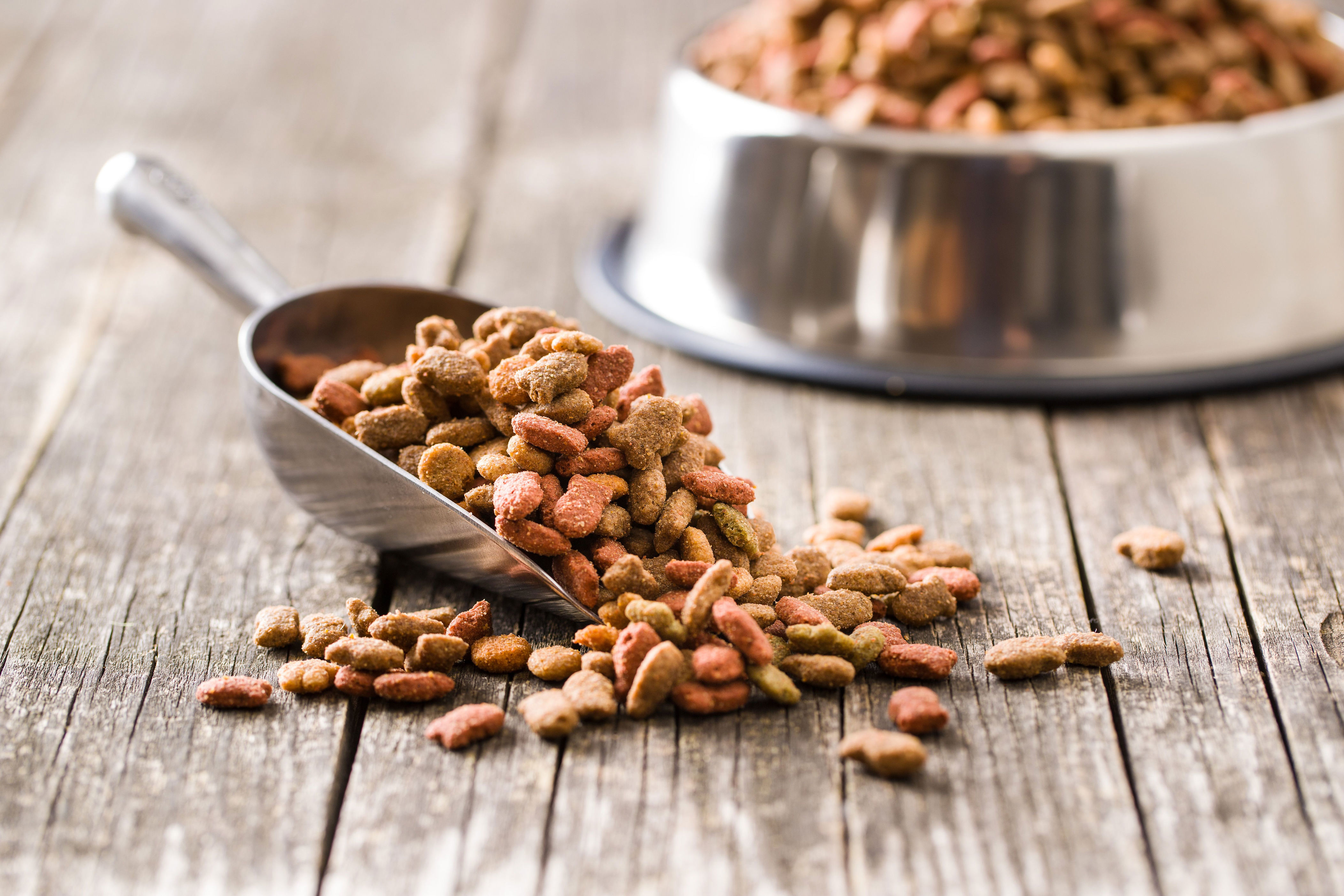 These are the best dog food brands in the UK