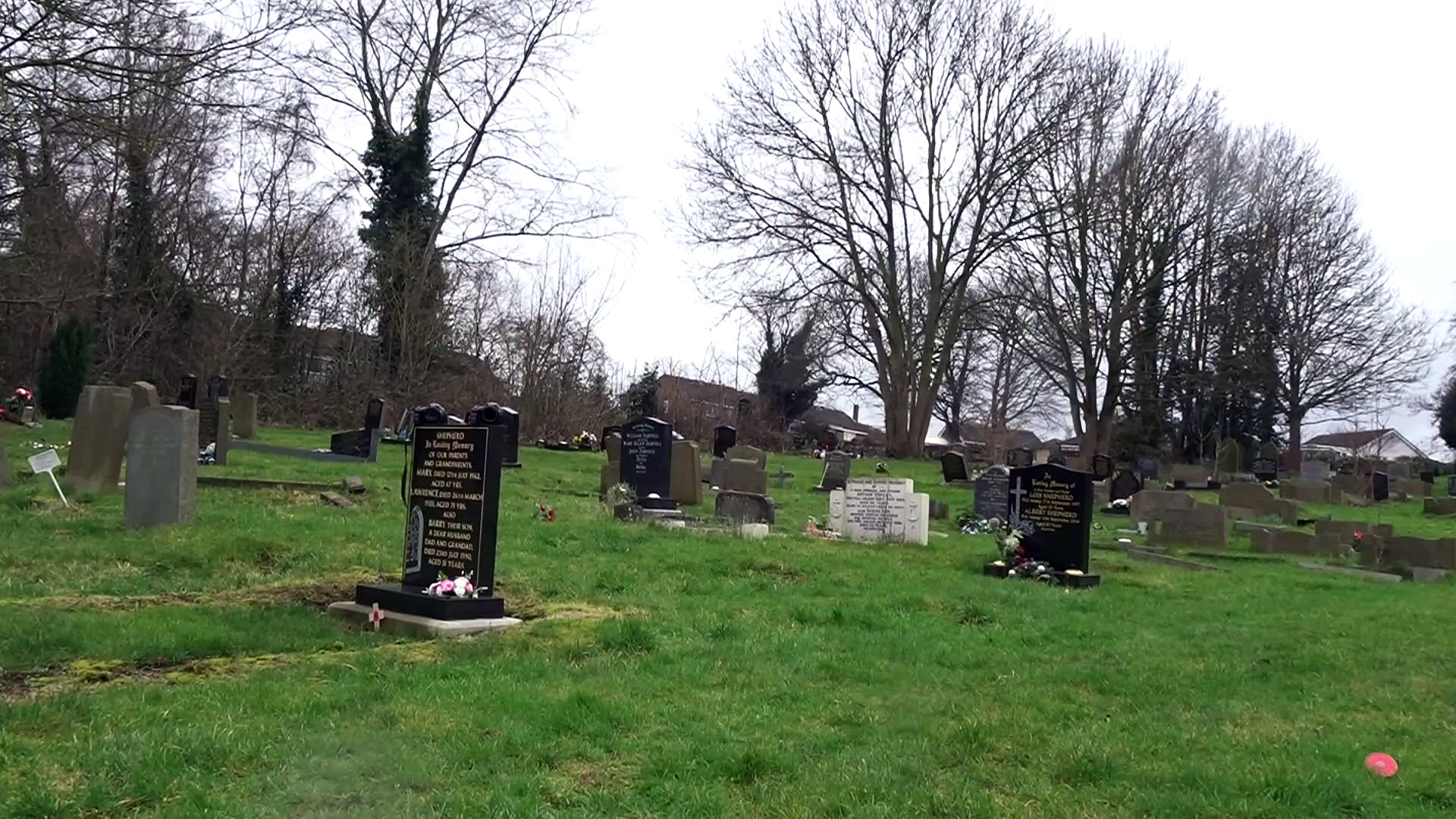 The Shadow Man of Crofton