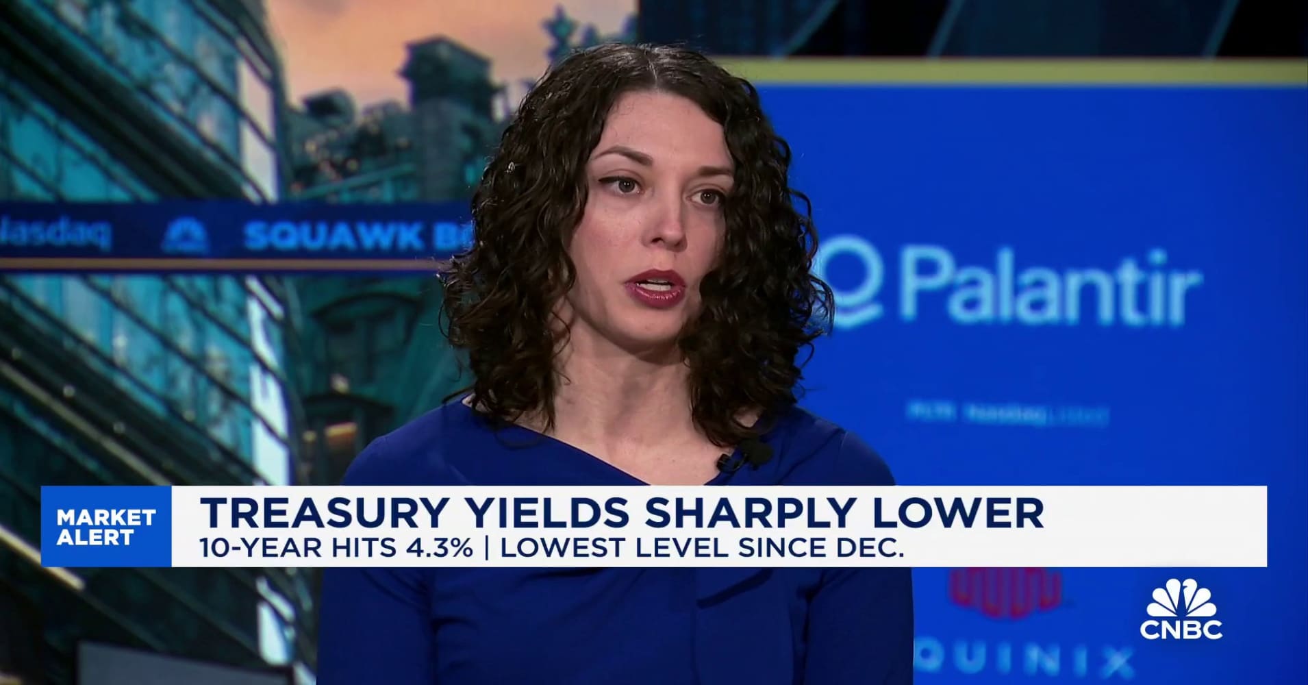 BofA's Jill Carey Hall on the two bullish themes for equity markets