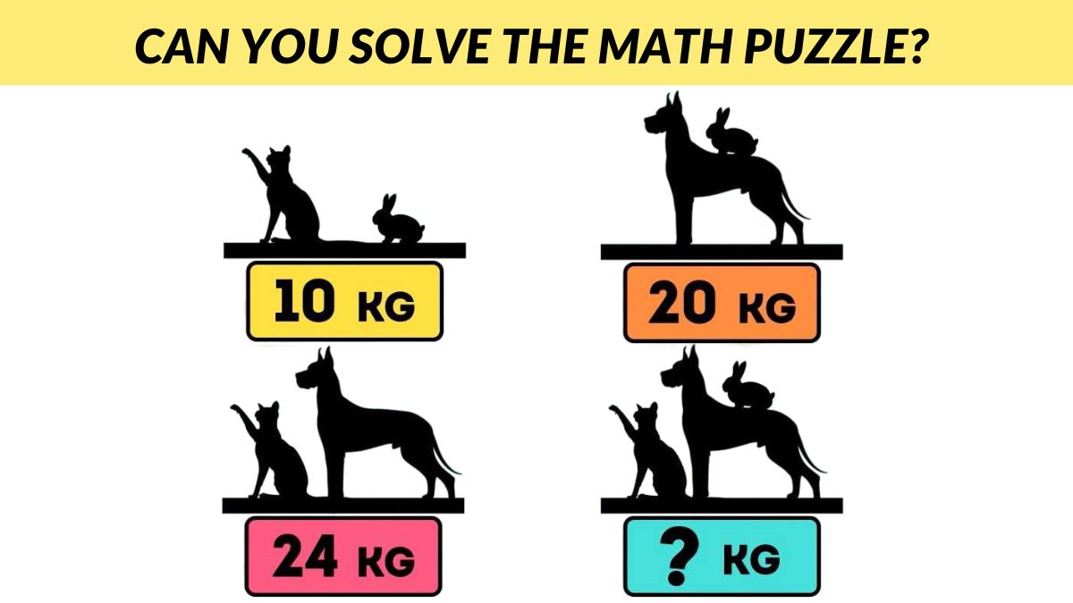 Only 2% of high-IQ geniuses can solve this challenging math puzzle in 6 ...