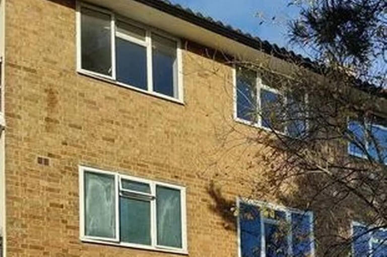 'Mummified and almost skeletal' body lay in flat for three years ...