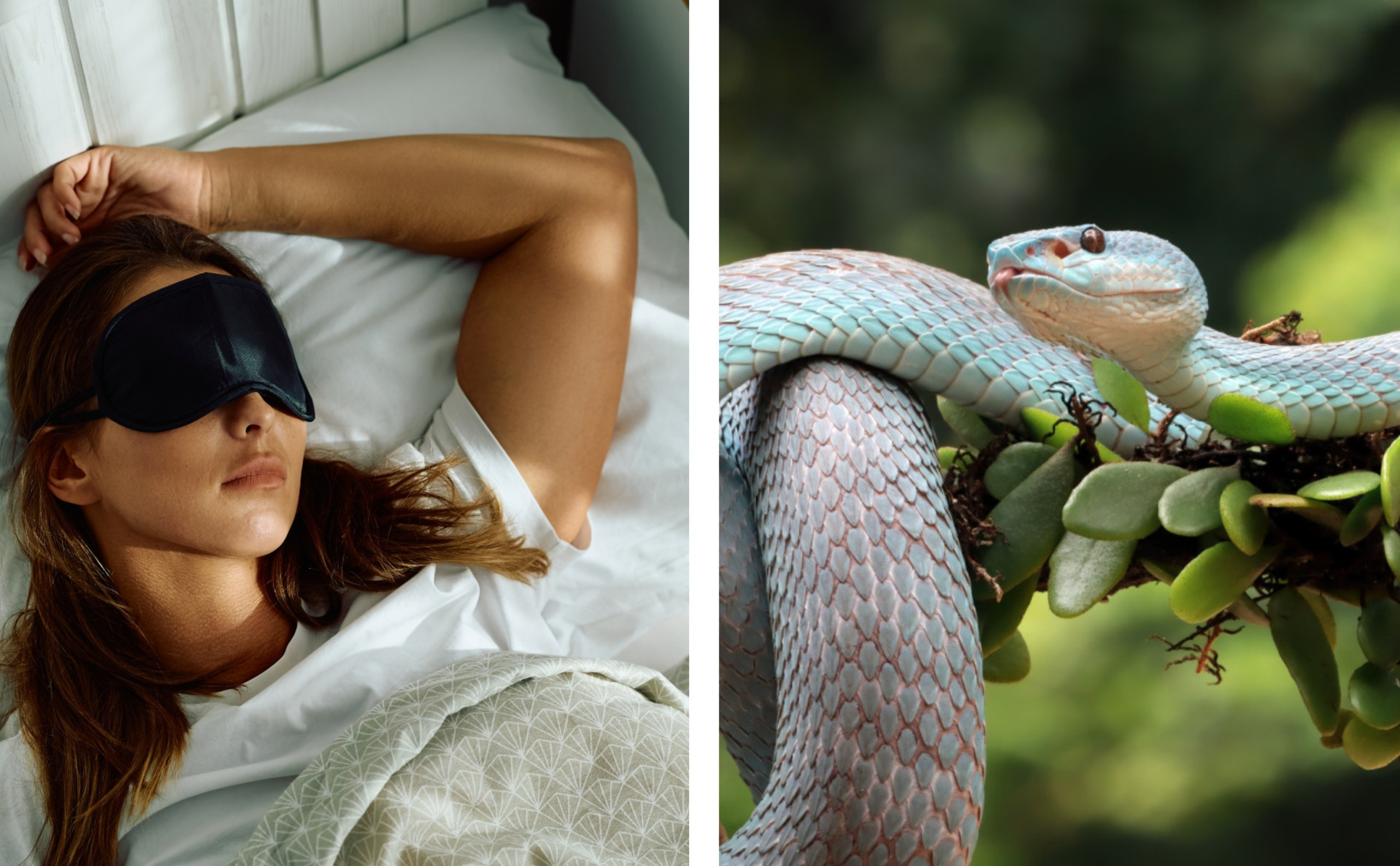 The most common dreams by country (and what they mean)