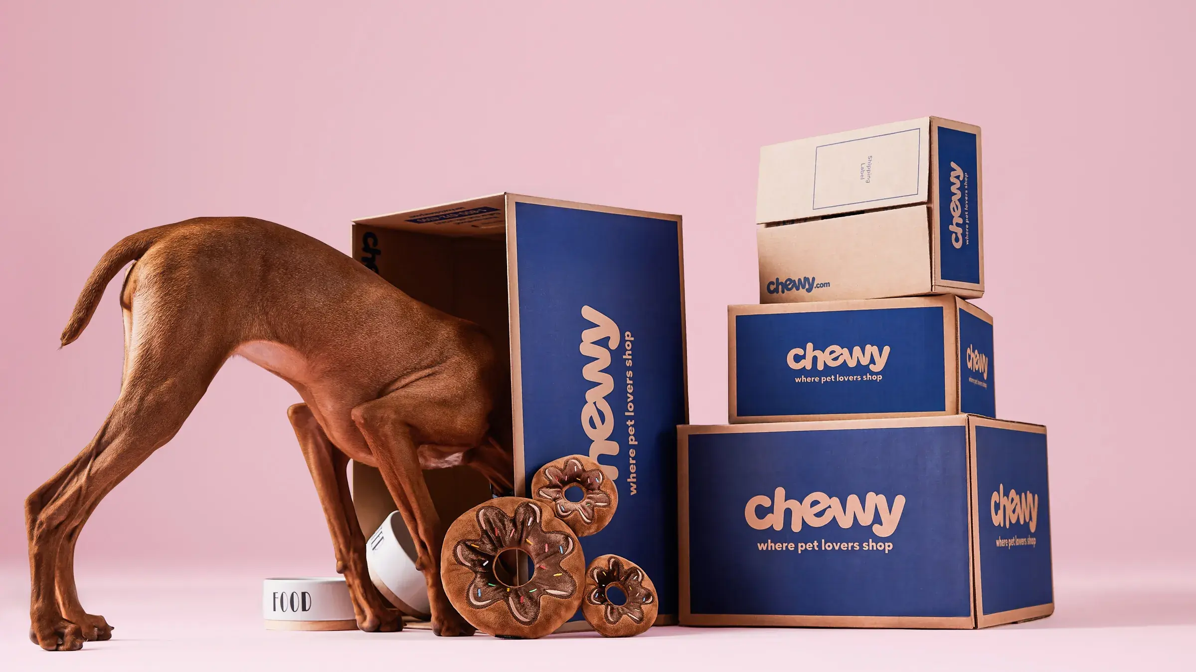Spend $100 on pet goodies at Chewy and get a free $30 gift card