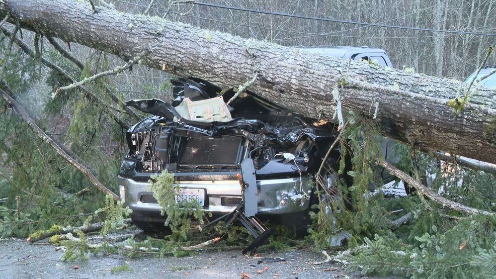 KOMO News photographer helps rescue truck driver trapped by fallen tree ...