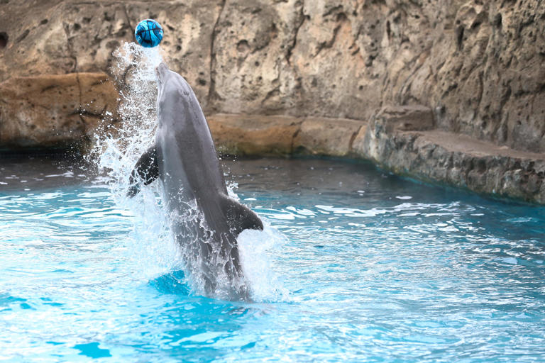 Spending spring break 2025 in Corpus Christi? Here are fun things to do ...