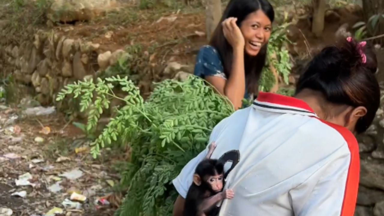 Unusual friendship: Monkey clings comfortably to girl’s shoulder