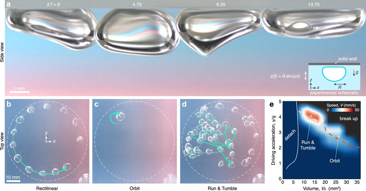 Bubbles that break rules: A fluid discovery that defies logic