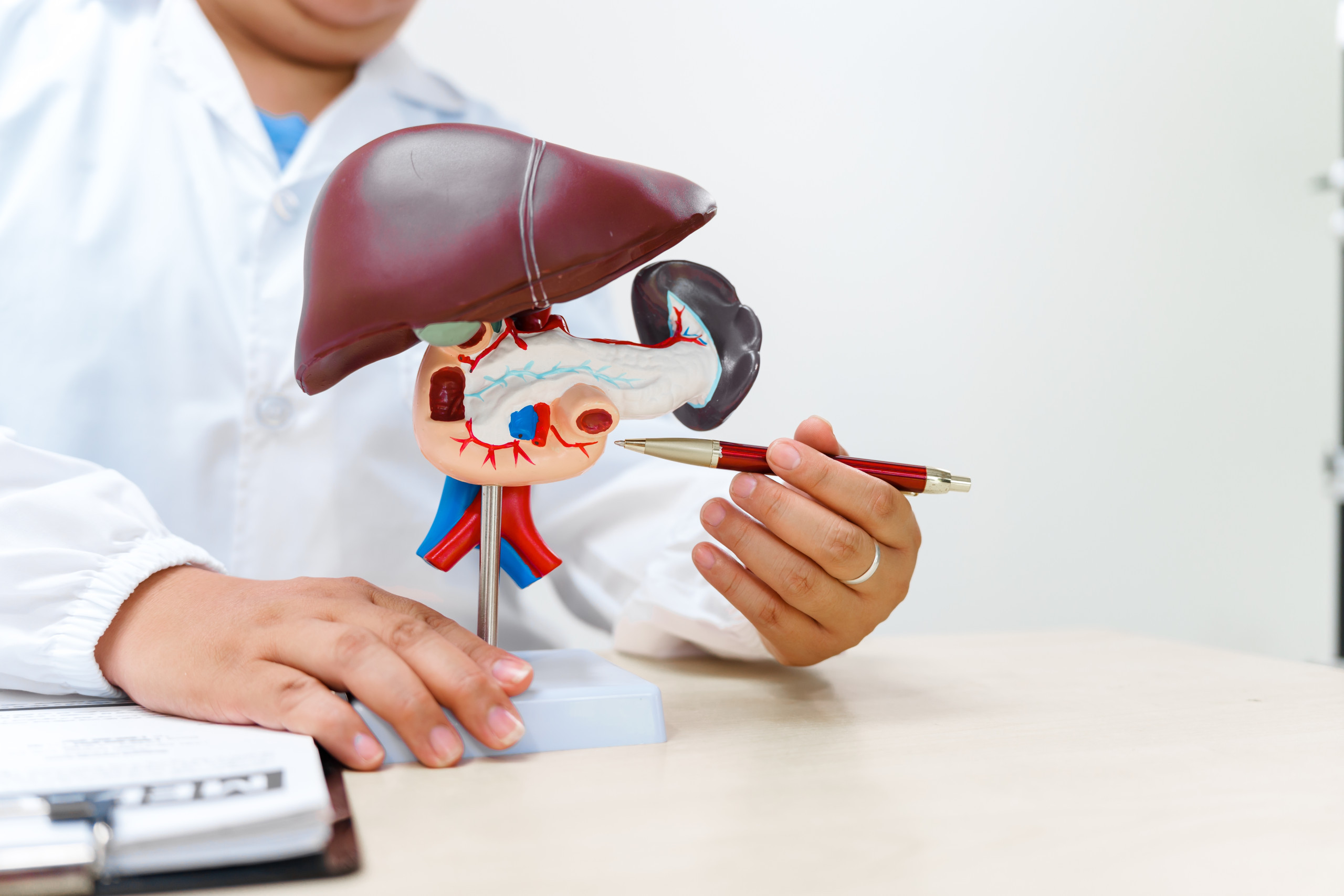 Salud hepática: 10 hierbas esenciales para el hígado