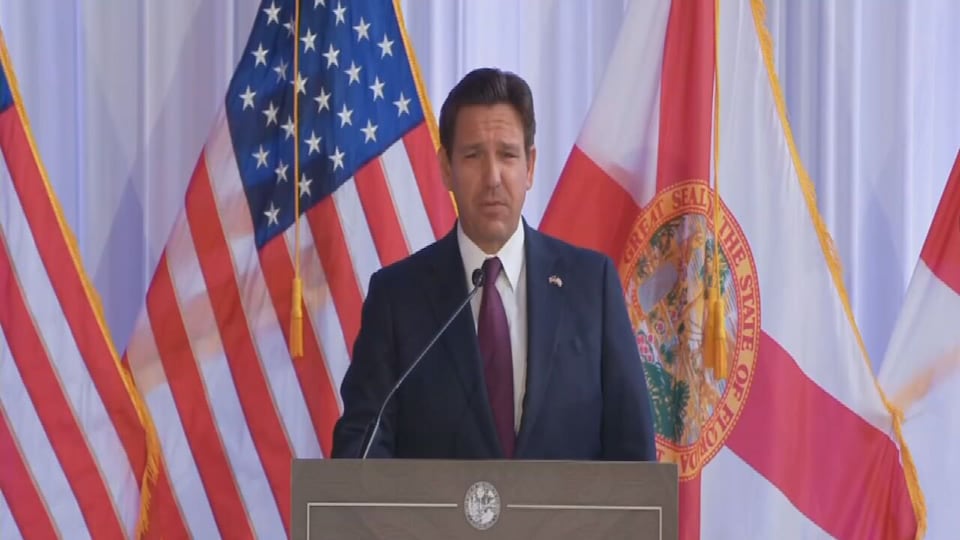 DeSantis says new panel to continue DOGE-like state job and spending ...