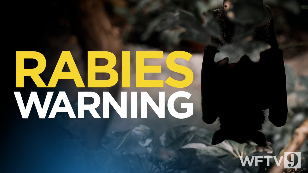 A rabies advisory has been issued by the DOH for Brevard County