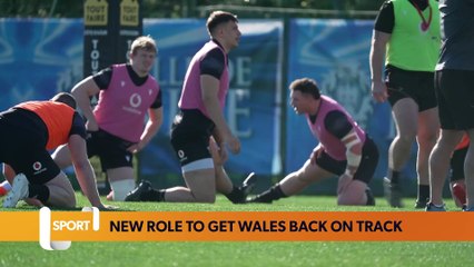 WRU advertising for Director position to get Wales back to very top of ...