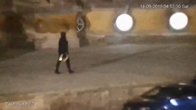 CCTV shows brazen thieves roll £4.75 million gold toilet out of palace