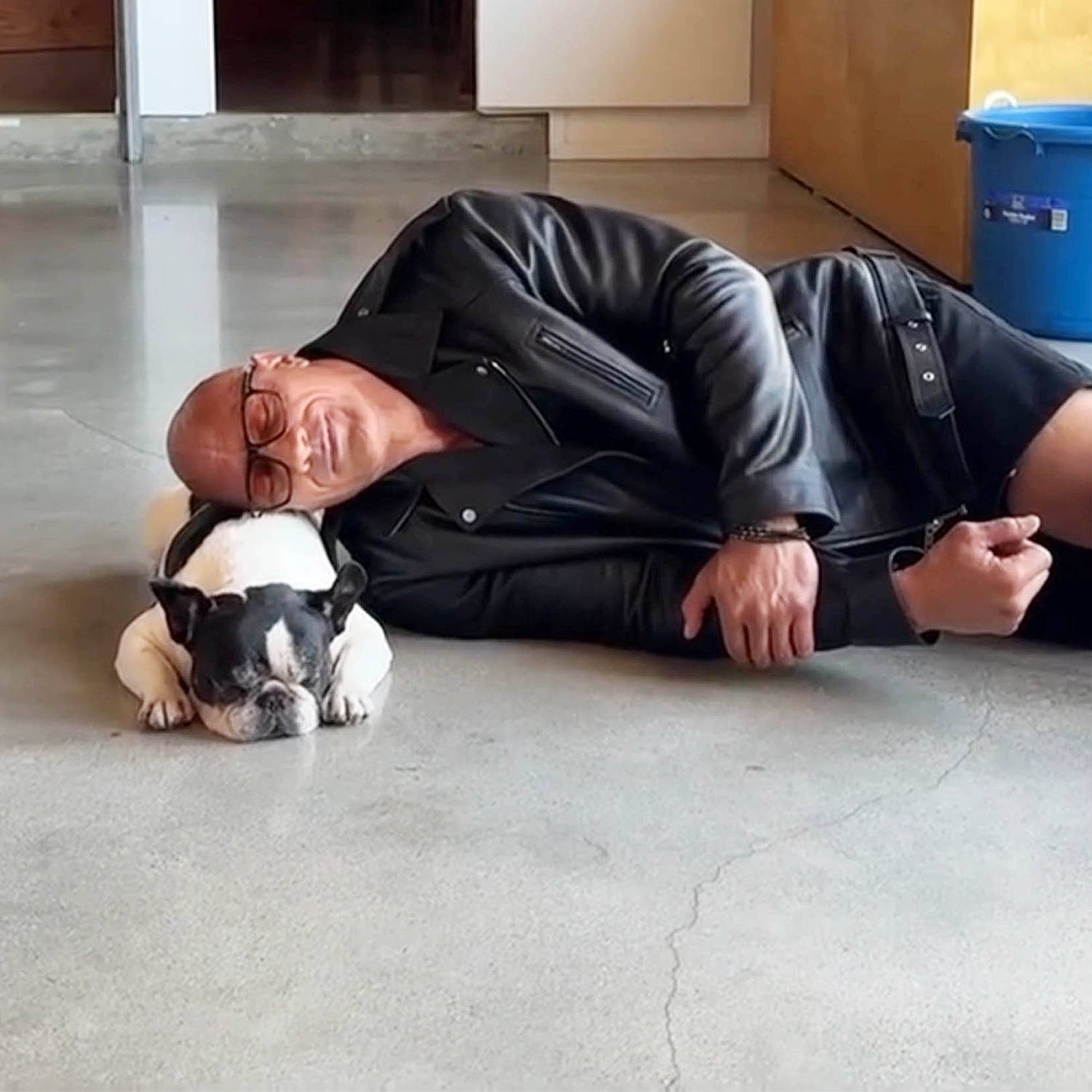 Dwayne Johnson announces death of dog Hobbs: ‘I’ve been numb over this ...