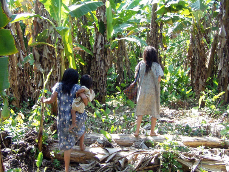 Bolivian community with just 1% dementia and the ‘healthiest hearts in ...