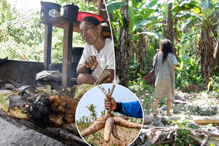 Bolivian community with just 1% dementia and the ‘healthiest hearts in ...