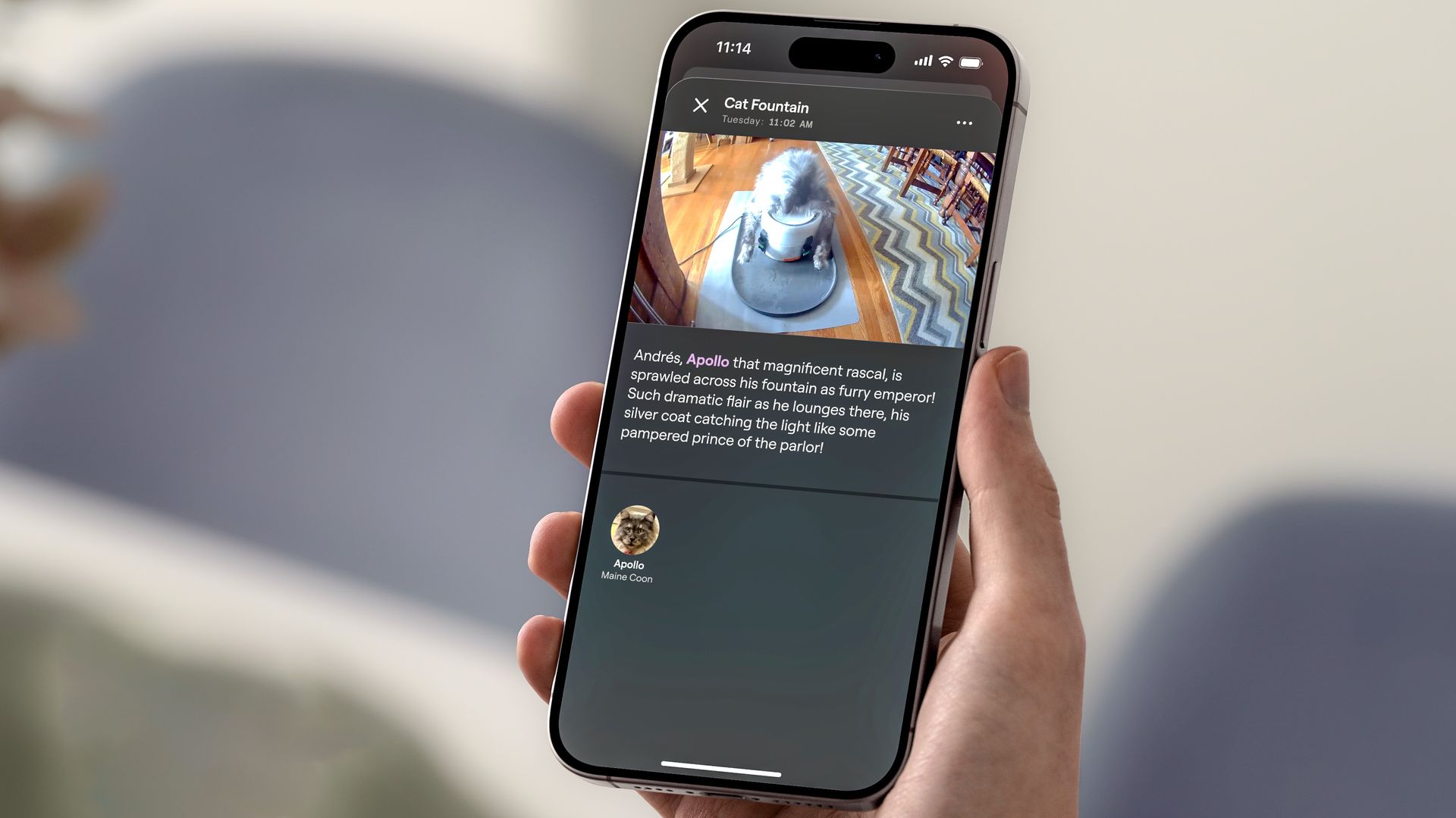 This new AI smart home app lets your house tell you how its day was ...