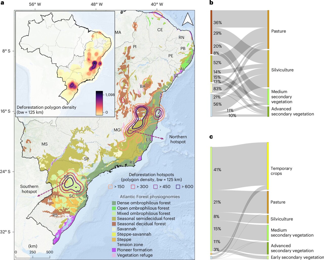Illegal cutting has led to deforestation in some parts of Brazil's ...