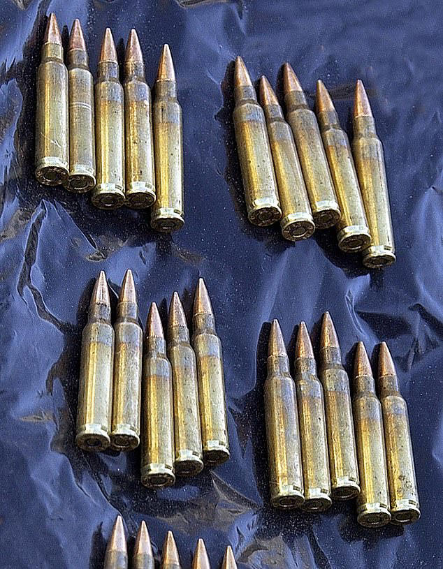 British army is 'laughing stock' of NATO