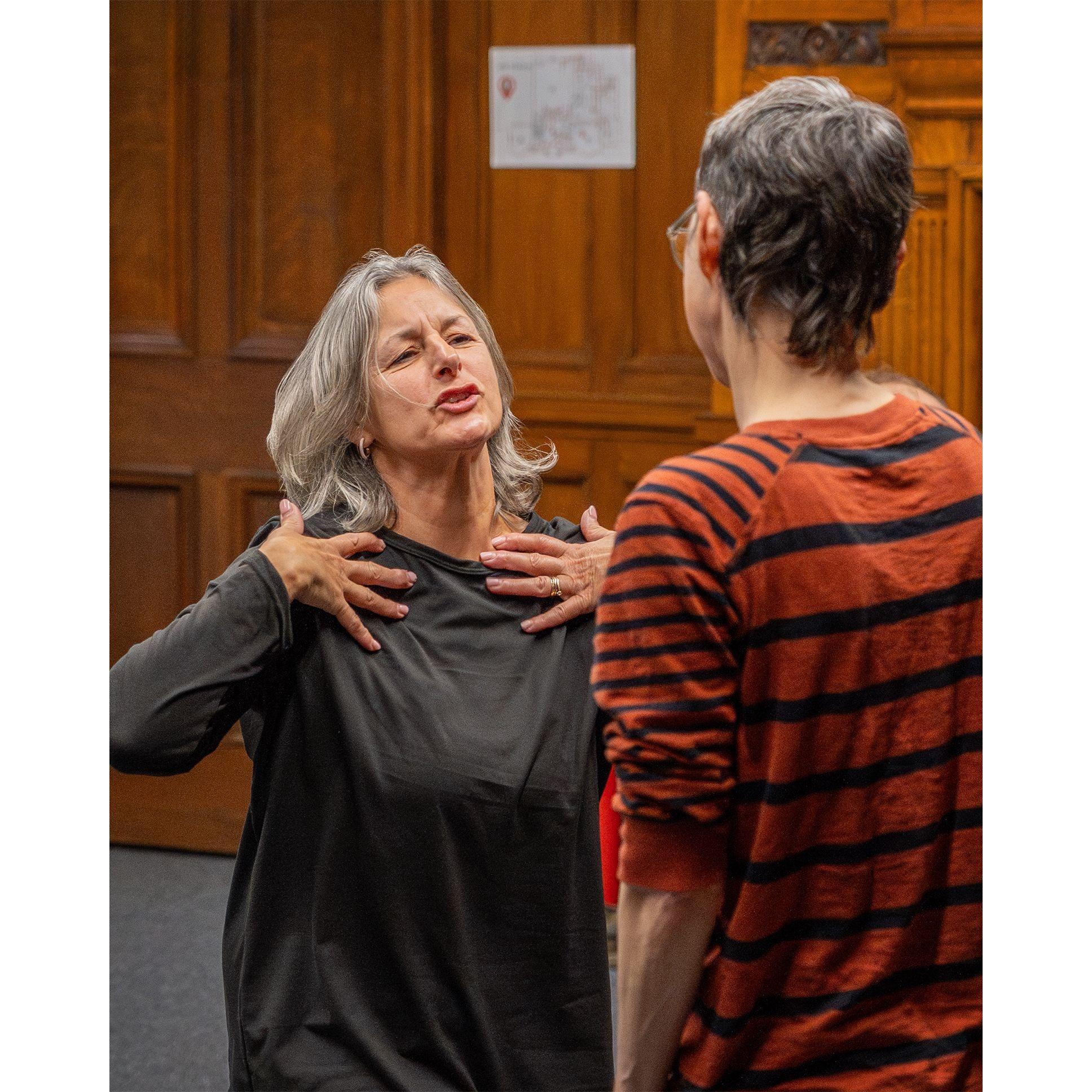 Call for community actors and puppeteers: Be part of Iron People @ Eureka!