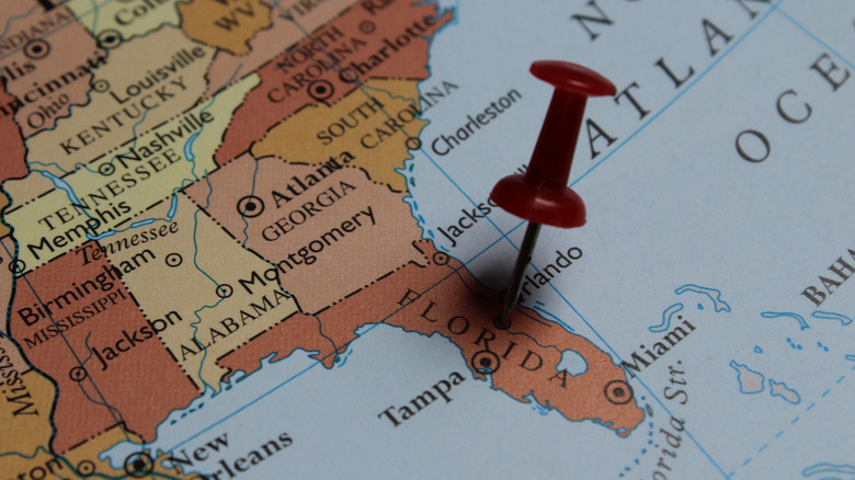 Florida's Most Iconic Export Isn't Even Native; How Oranges Arrived In ...