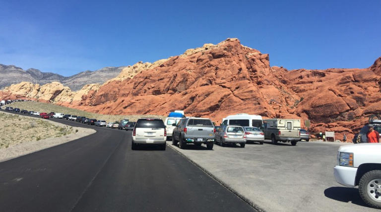 Red Rock Canyon offers pet emergency training