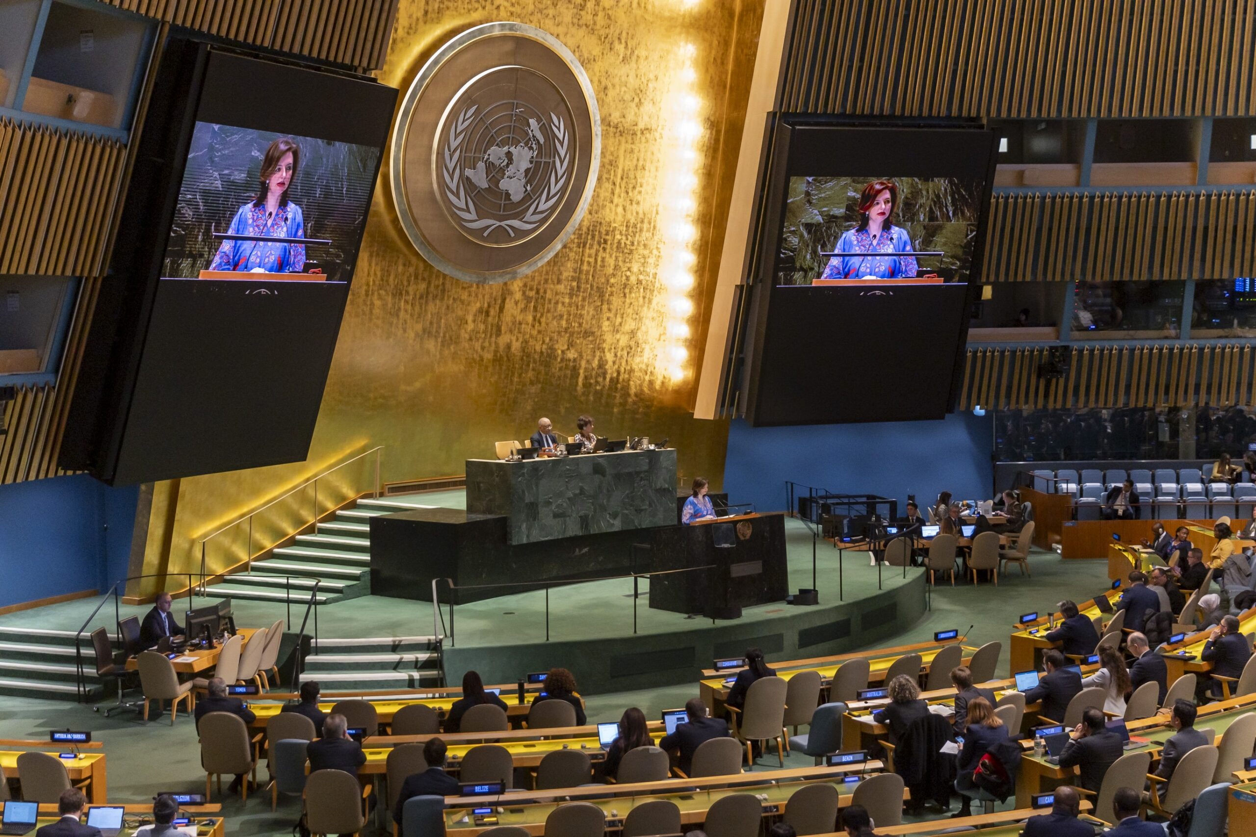 UN resolution highlights diplomatic shift as South Africa votes for ...