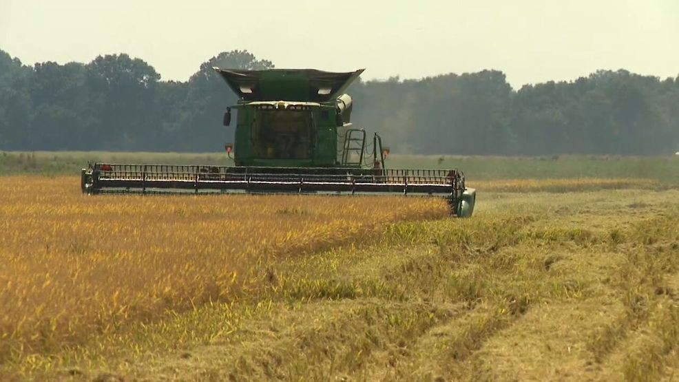 Arkansas farmers rally at state capitol to voice concerns on ...