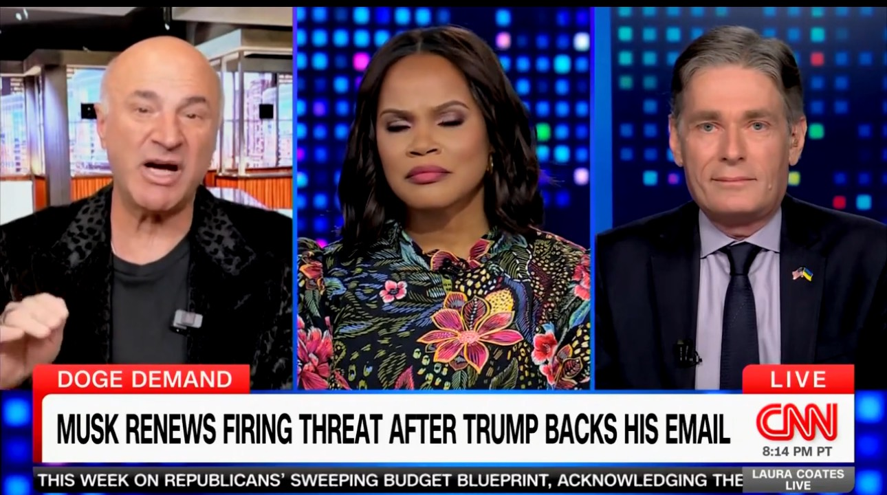 'Shark Tank' Star Starts Fight During Heated CNN Panel
