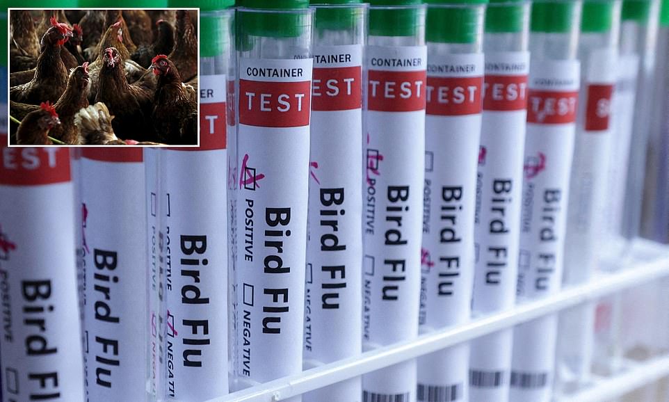 Bird flu detected at a fourth poultry farm in Victoria