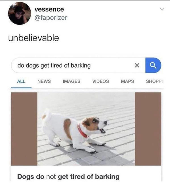 35+ Funny Dog Memes That’ll Have You Howling With Laughter (February 25 ...