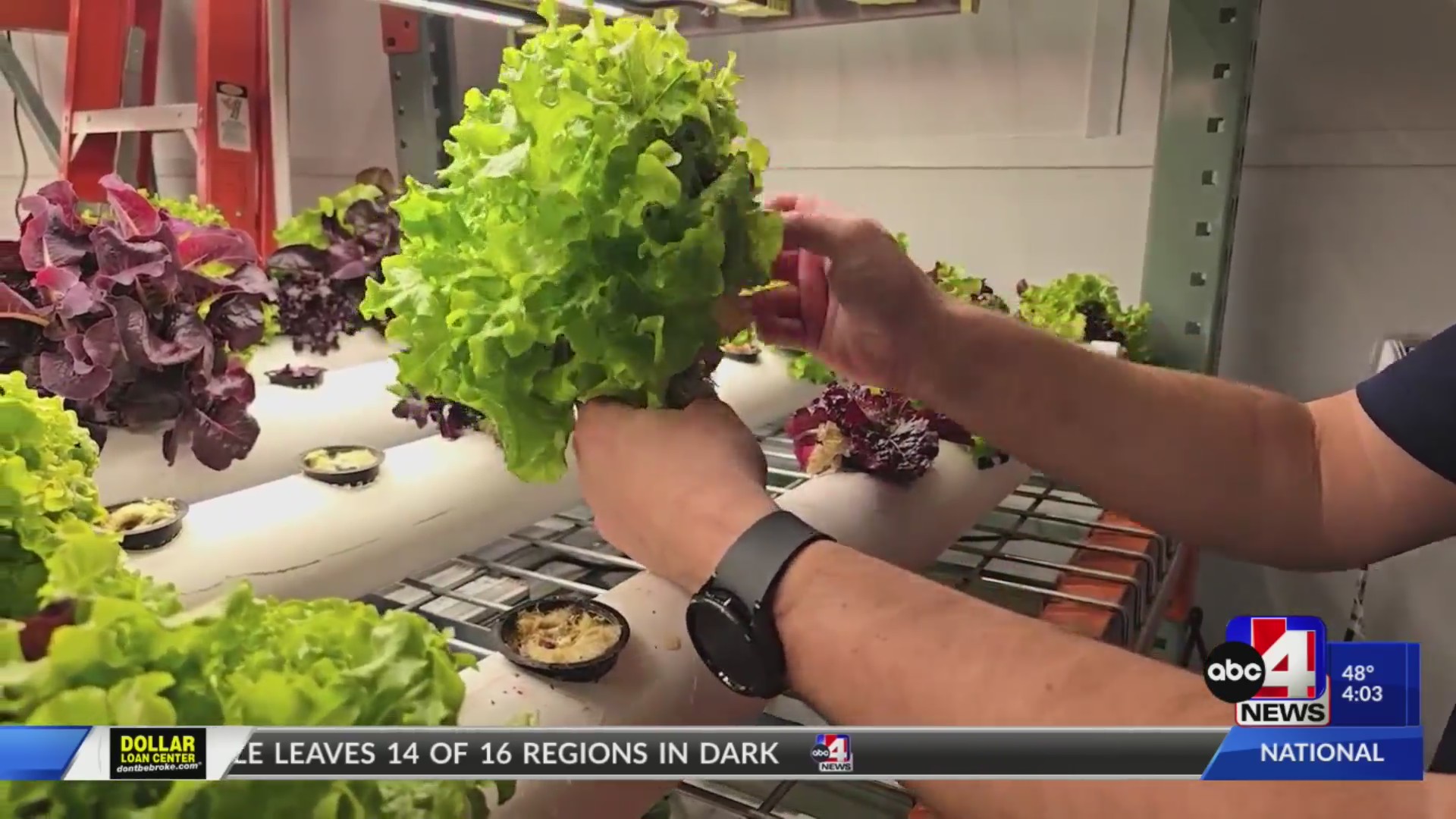 New BYU greenhouse sets out to bridge food pantry donation gap