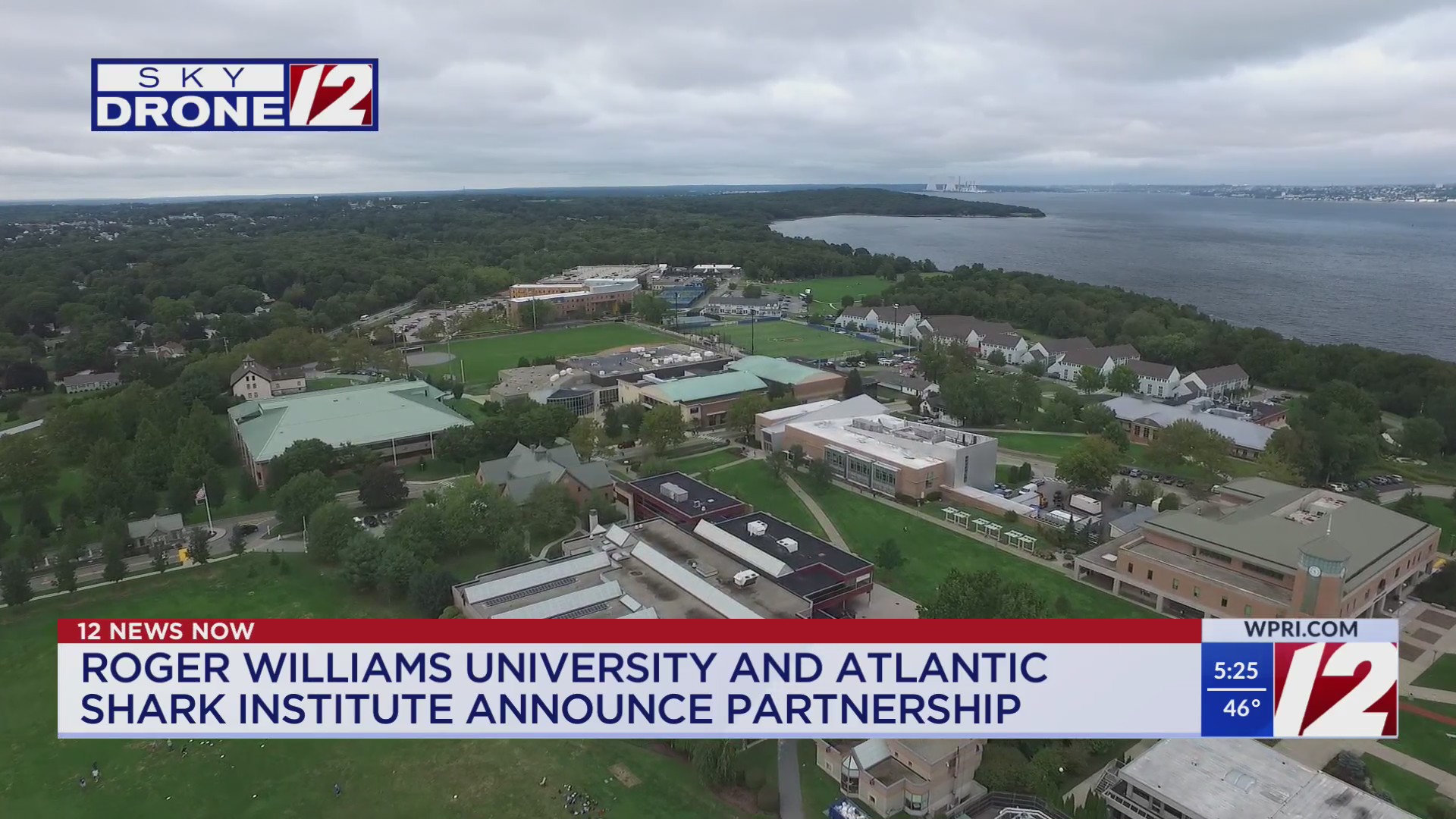 Roger Williams University partners with Atlantic Shark Institute for ...