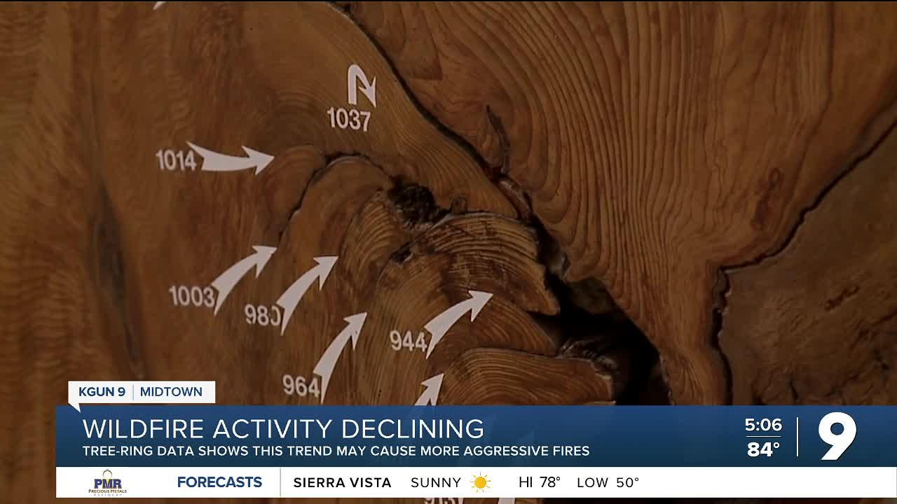 Tree-ring, fire scar data shows wildfire activity declining