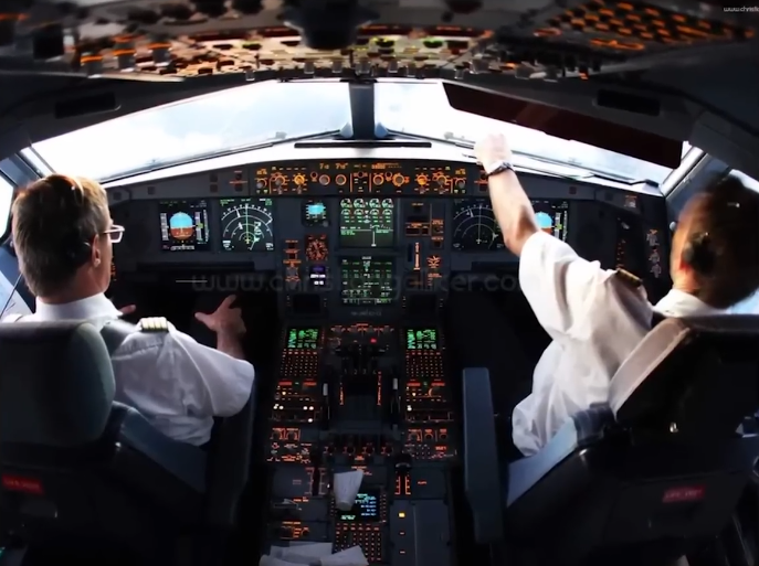 Pilot Finds Lady Hiding In The Plane, Is Shocked When He Found Out The ...