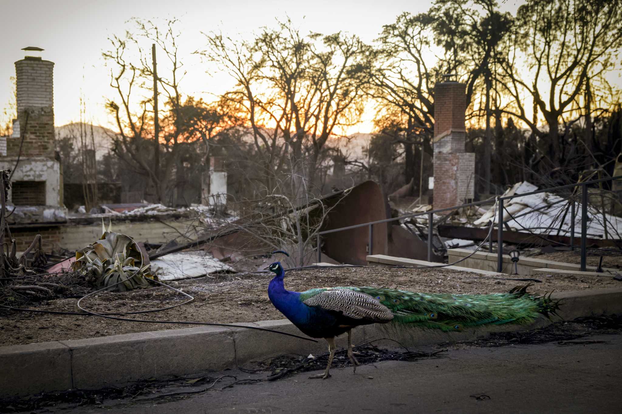 New Cal Fire maps: Here’s what they can tell you about your risk — and what they can’t