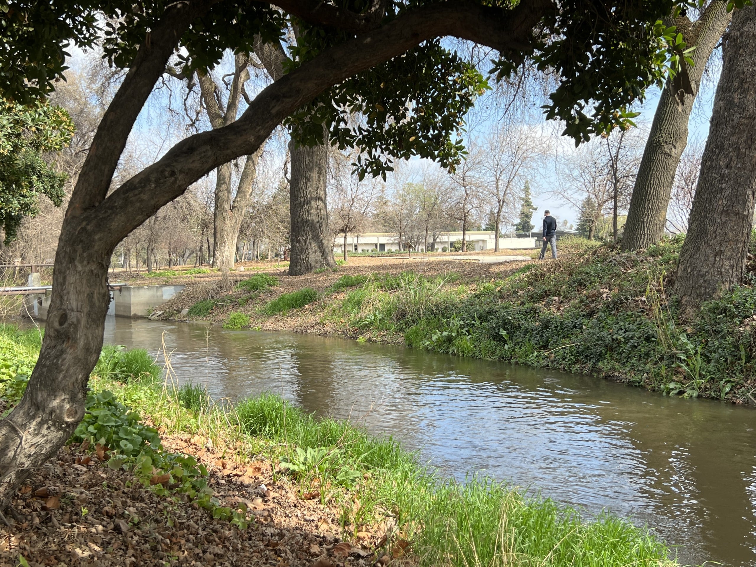 Army Corps grilled about January water dump; meanwhile storm releases ...