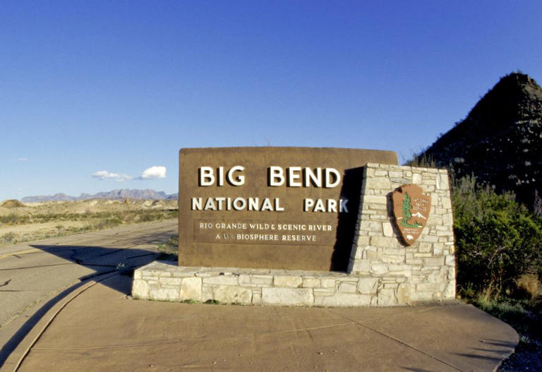 New plant species discovered at Big Bend National Park
