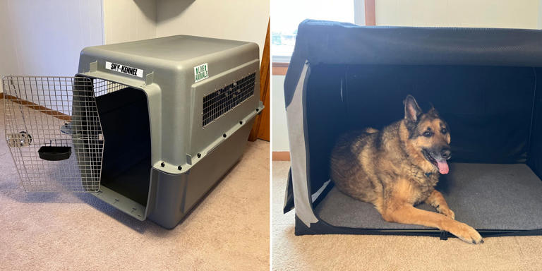 The best large dog crates we tested with a 110-pound German Shepherd