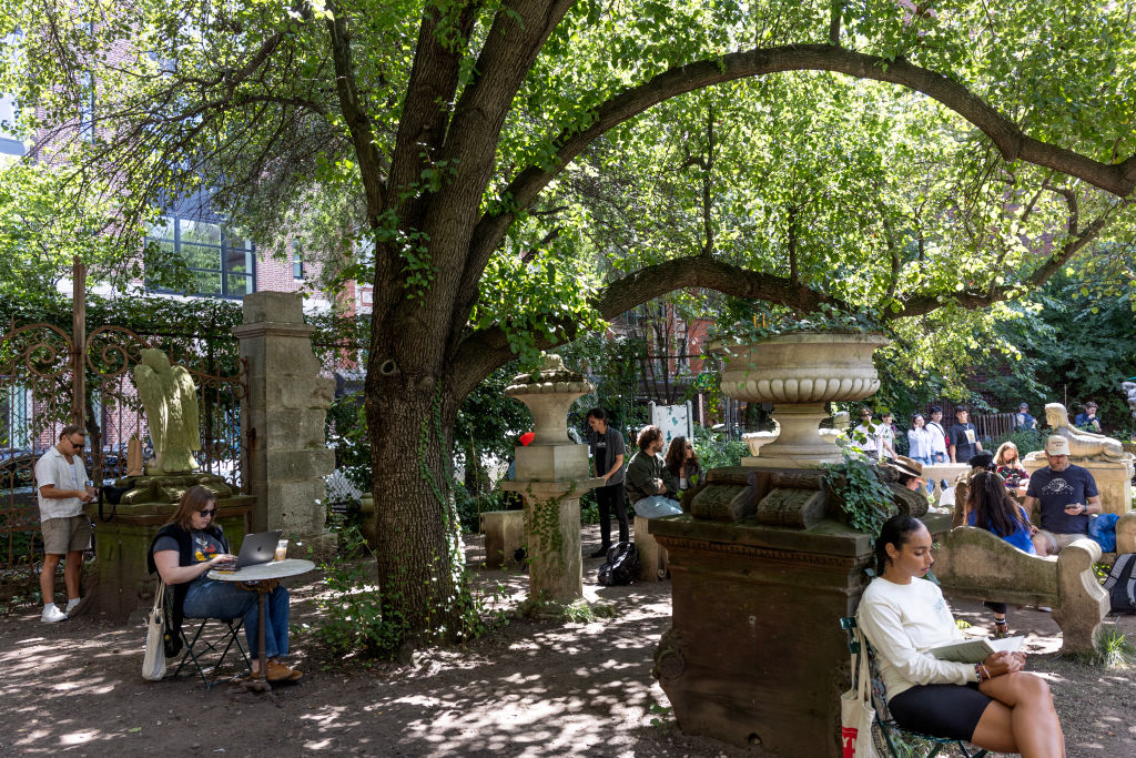 Eric Adams and Zohran Mamdani Battle Over Beloved Art Garden in New York