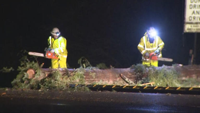 PinPoint Alert Day: High winds knock out power, calmer skies expected
