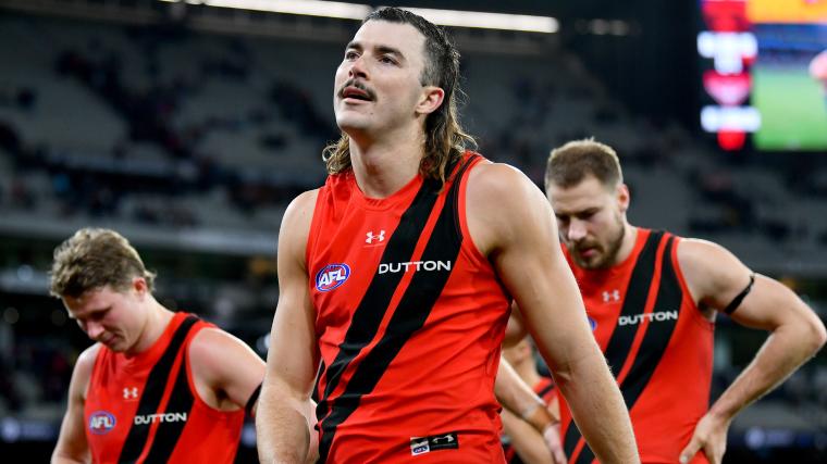 Sam Draper set to decide on Essendon future with Adelaide circling