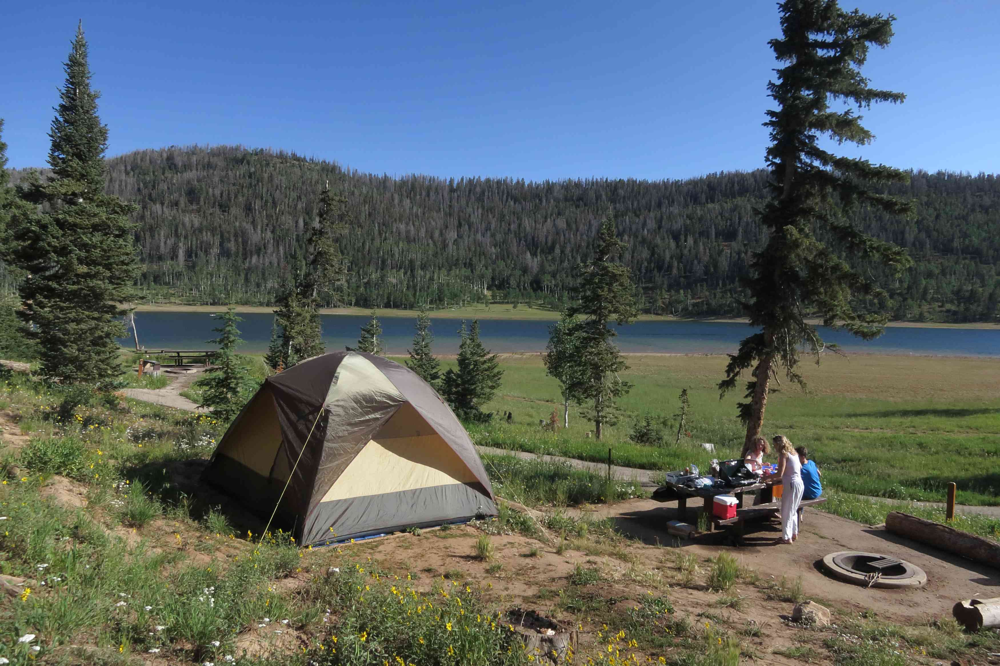 8 camping allergies and how to avoid them