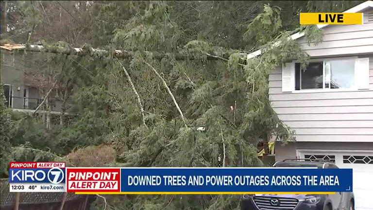 PinPoint Alert Day: High winds knock out power, calmer skies expected