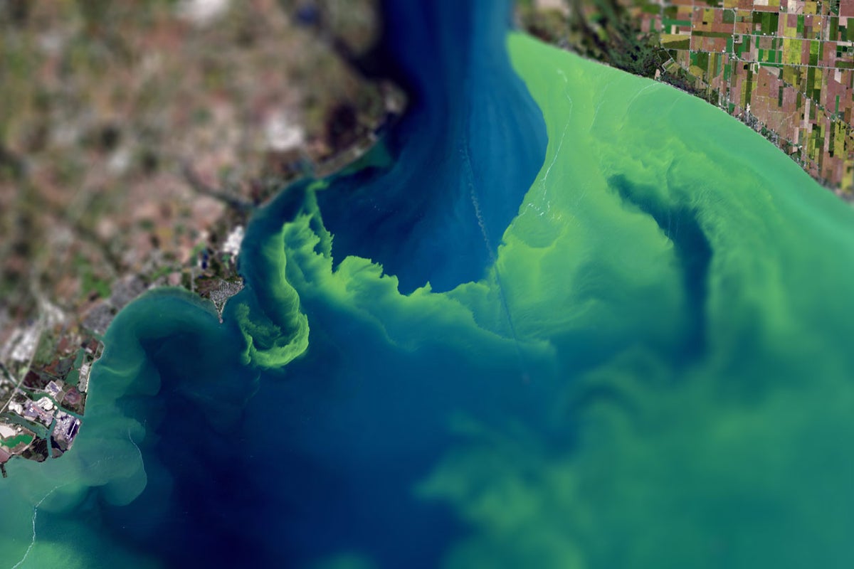 Climate conditions caused ‘unexpected’ changes in more than a third of ...