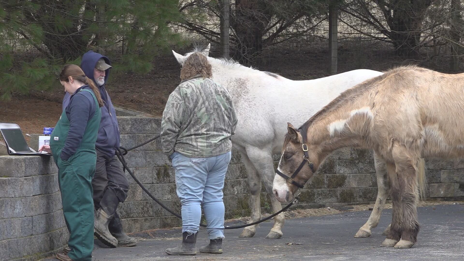 General Assembly bill looks to address shortage of large animal ...