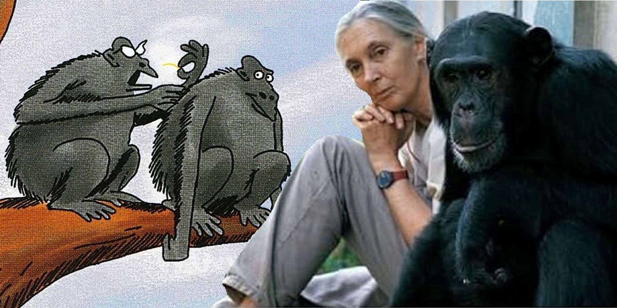 Did Gary Larson Really Offend Jane Goodall With a Far Side Comic About Her?