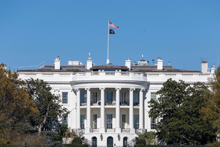 Meet Amy Gleason, the DOGE office's new acting administrator